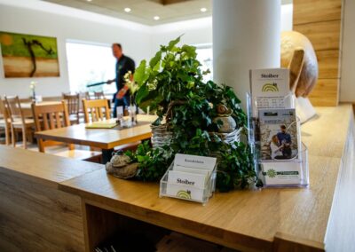 Heuriger - Weingut Stoiber Krems